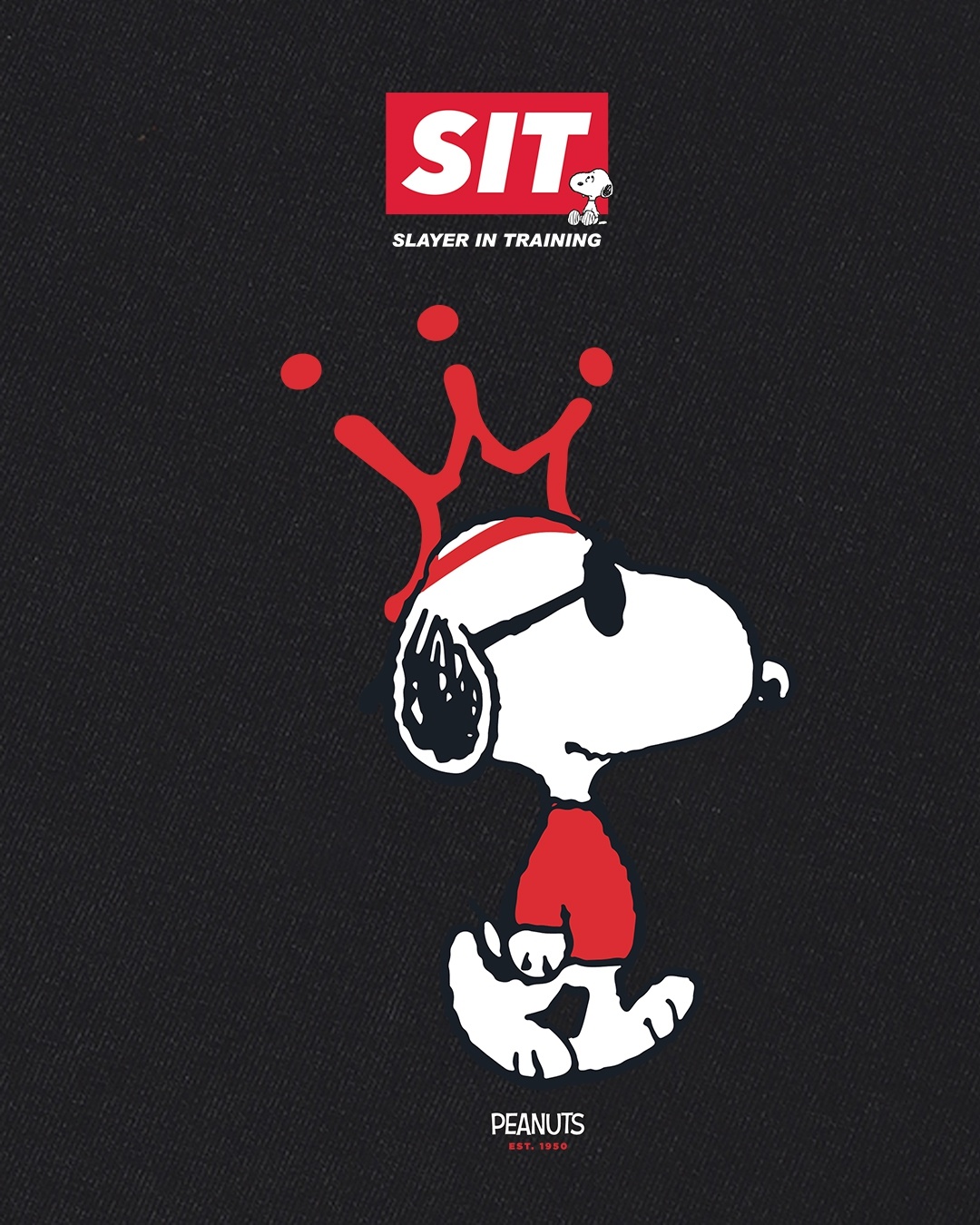 Buy Men's Black Snoopy King Graphic Printed Oversized T-shirt Online at ...