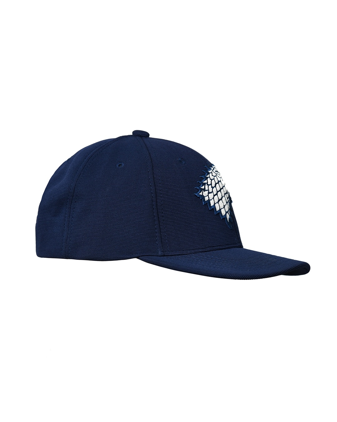 Buy Men's Blue House of Stark Sigil Embroidered Hip Hop Cap Online in ...